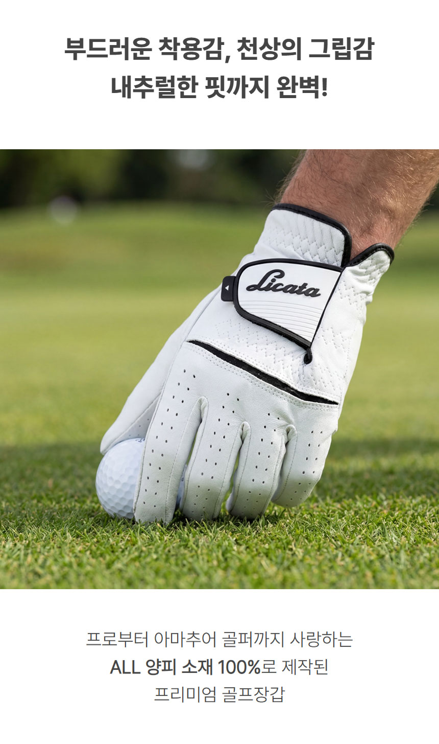 [8장세트] 리카타 에어컴포트 2.0 이지탭 프리미엄 올양피 남성 여성 골프장갑 F56102 F56202 [타임세일] - 딜팡 ...